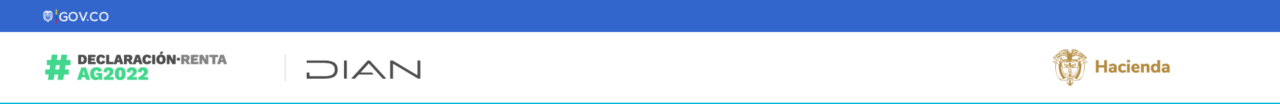 ¿Cómo diligenciar la declaración de Renta (formulario 110)?